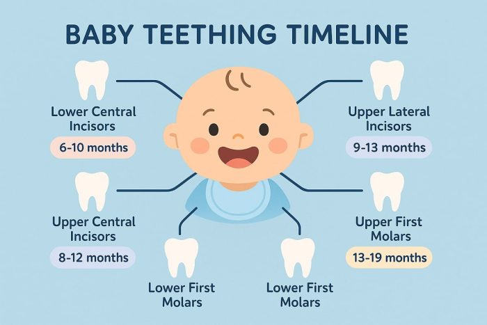 Baby Teething Timeline: Complete Guide to Your Child's First Teeth